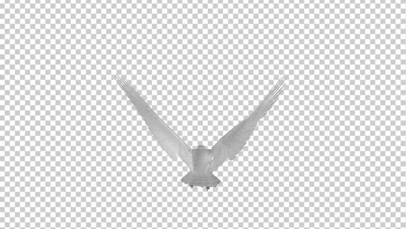 White Dove - Flying Loop - Back View, Motion Graphics | VideoHive