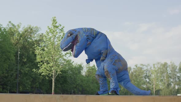 Big Blue Dinosaur Dancing Outdoors at Sunrise with No People on the ...