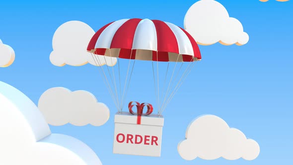 Box with ORDER Falls with a Parachute, Motion Graphics | VideoHive