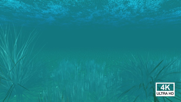 Underwater Ocean 4K, Motion Graphics | VideoHive