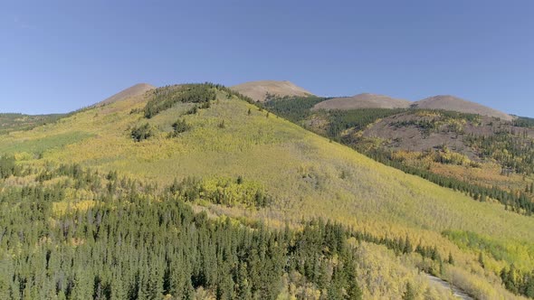 Fall foliage at Boreas Pass, CO, Stock Footage | VideoHive