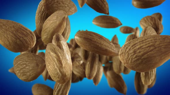 Flying of Almonds in Blue Background, Motion Graphics | VideoHive