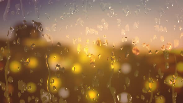 Close Up of Rain Falling on Glass, Motion Graphics | VideoHive