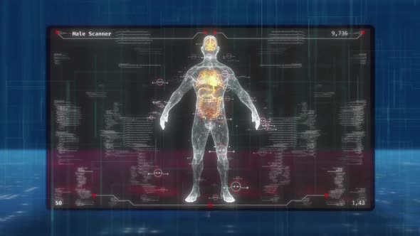 HUD UI Male Body Scanner, Motion Graphics | VideoHive
