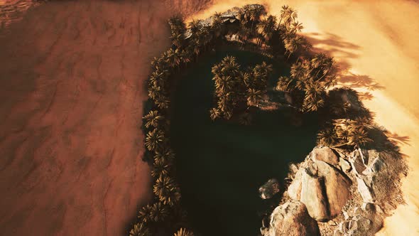 Top Down Aerial View of Oasis in Desert, Motion Graphics | VideoHive