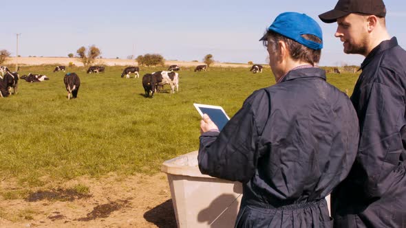 Two cattle farmers interacting with each other while using digital ...